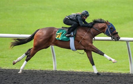 Cairo Prince Filly Fastest in OBS Works - BloodHorse