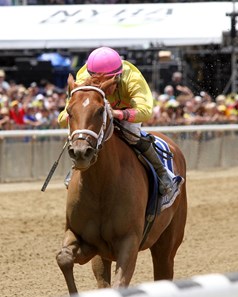 Monomoy Girl - Horse Profile - BloodHorse