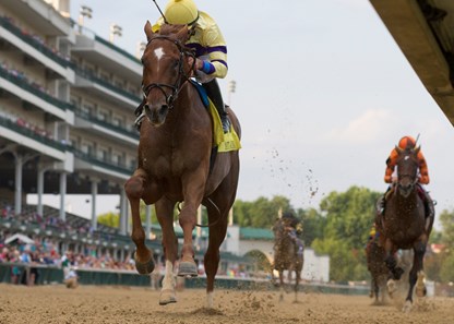 King Zachary - Horse Profile - BloodHorse