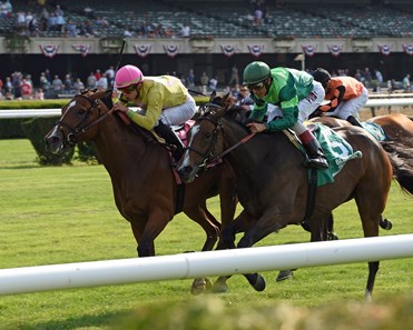 Fourstar Crook - Horse Profile - BloodHorse