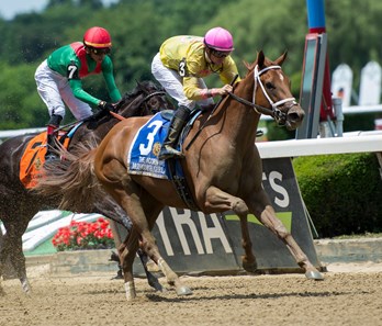 Monomoy Girl - Horse Profile - BloodHorse