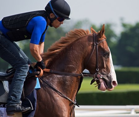 Grade 1 Winner Free Drop Billy Retired to Spendthrift - BloodHorse