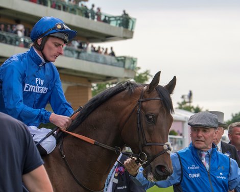 Harry Angel Could Return to Defend July Cup Title - BloodHorse