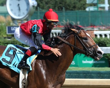 C Z Rocket - Horse Profile - BloodHorse