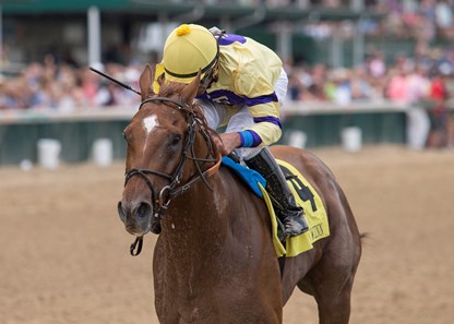 King Zachary - Horse Profile - BloodHorse