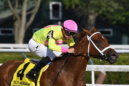 Monomoy Girl - Horse Profile - BloodHorse