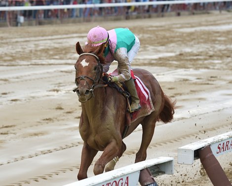 Hofburg Rolls to Easy Victory in Curlin Stakes - BloodHorse