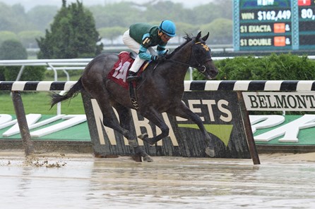 Cairo Prince - Horse Profile - BloodHorse