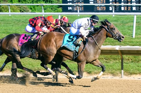 Jessica Krupnick Moves to Top of MATCH Series Standings - BloodHorse