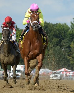 Monomoy Girl - Horse Profile - BloodHorse