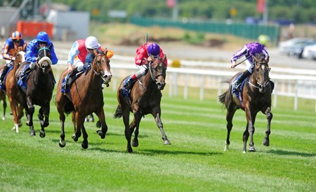 So Perfect - Horse Profile - BloodHorse
