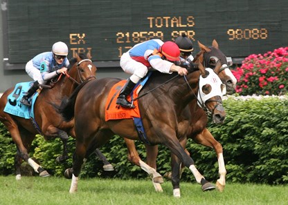 Brass Hat - Horse Profile - BloodHorse