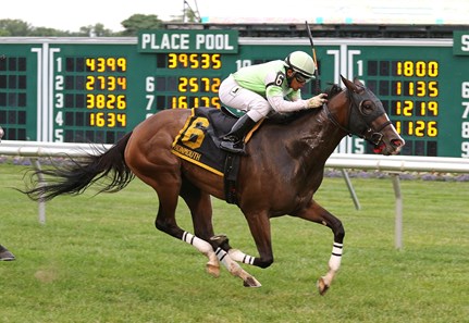 Miss Deplorable - Horse Profile - BloodHorse