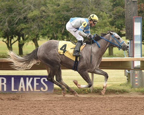 Awesome Debate is Honorable Dillon's First Winner - BloodHorse
