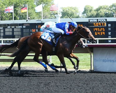 Madison's Quarters - Horse Profile - BloodHorse