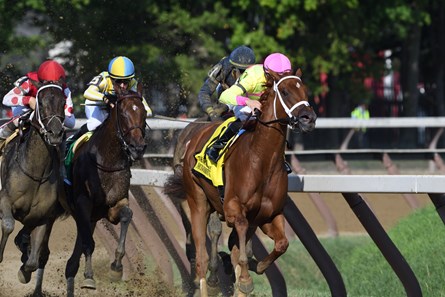 Monomoy Girl - Horse Profile - BloodHorse