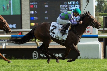 Avie's Mineshaft - Horse Profile - BloodHorse
