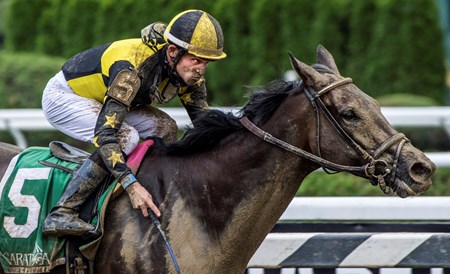 Big Dollar Bill - Horse Profile - BloodHorse