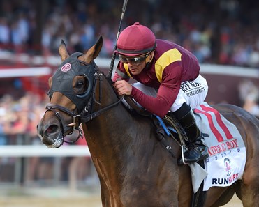 Catholic Boy - Horse Profile - BloodHorse