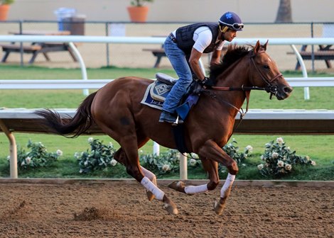 Hronis' Accelerate in the Spotlight for Pacific Classic - BloodHorse