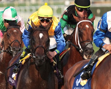 Robert Bruce (CHI) - Horse Profile - BloodHorse