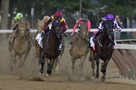 Catholic Boy - Horse Profile - BloodHorse