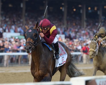 Catholic Boy - Horse Profile - BloodHorse
