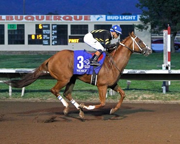 Hence - Horse Profile - BloodHorse