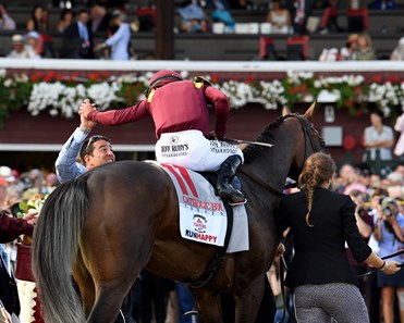 Catholic Boy - Horse Profile - BloodHorse