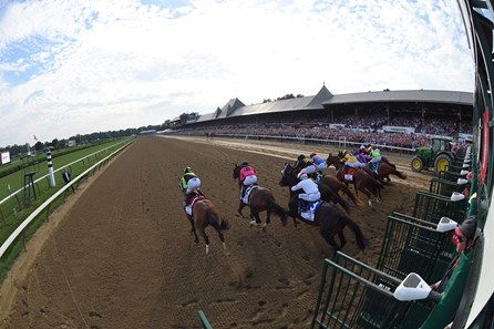 Catholic Boy - Horse Profile - BloodHorse