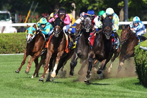 Glorious Empire Gears Up for Next Start - BloodHorse