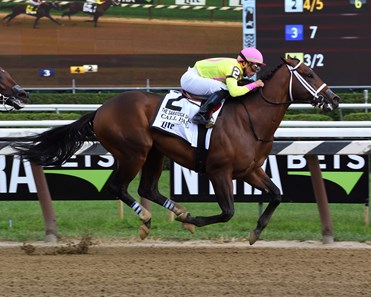 Call Paul - Horse Profile - BloodHorse