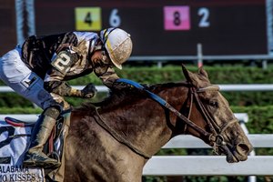 Catching Up With Southern Phantom - Slideshow - BloodHorse