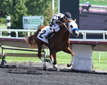 Chrome Attack - Horse Profile - BloodHorse