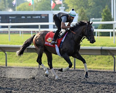 Robert Bruce (CHI) - Horse Profile - BloodHorse