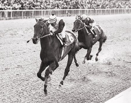 BackTrack: Forego Scores Fourth Straight Woodward - BloodHorse