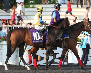 Robert Bruce (CHI) - Horse Profile - BloodHorse