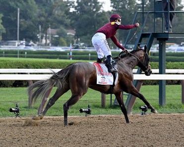 Catholic Boy - Horse Profile - BloodHorse