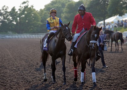 Robert Bruce (CHI) - Horse Profile - BloodHorse