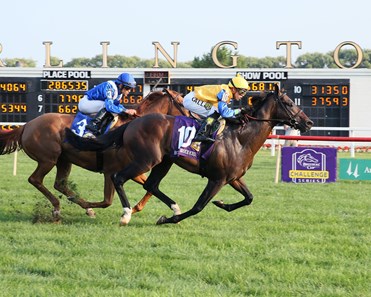 Robert Bruce (CHI) - Horse Profile - BloodHorse