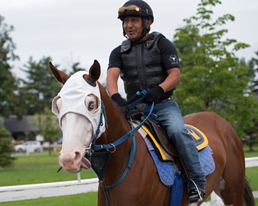 Southern Phantom - Horse Profile - BloodHorse