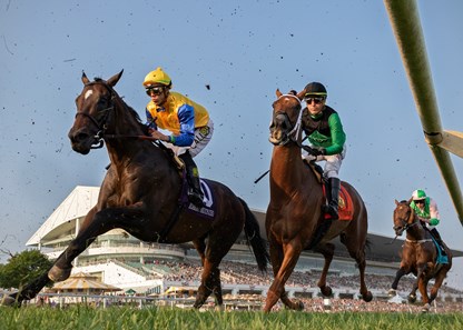 Robert Bruce (CHI) - Horse Profile - BloodHorse