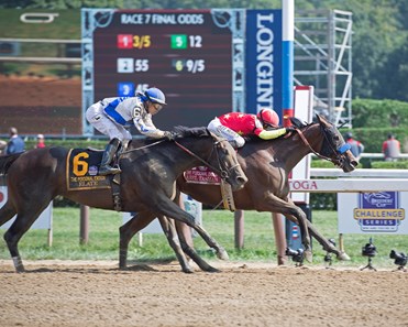 Abel Tasman - Horse Profile - BloodHorse