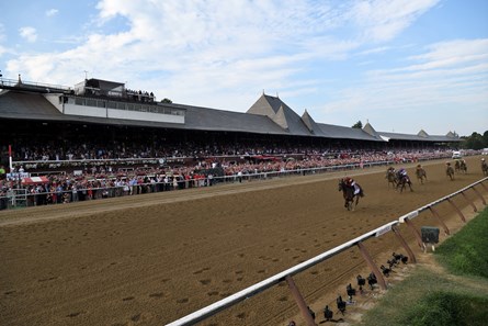 Catholic Boy - Horse Profile - BloodHorse