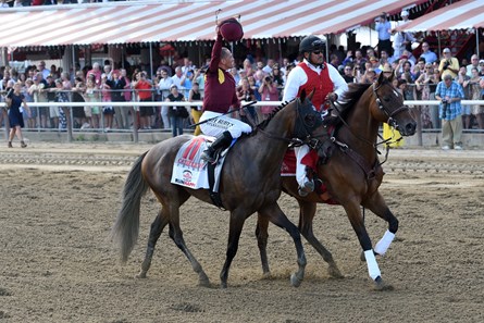 Catholic Boy - Horse Profile - BloodHorse