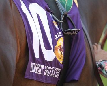 Robert Bruce (CHI) - Horse Profile - BloodHorse