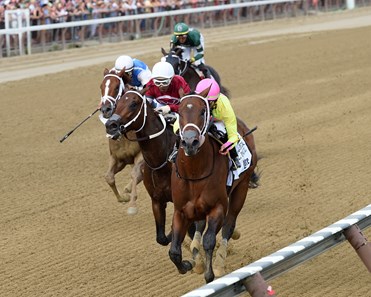 Call Paul - Horse Profile - BloodHorse