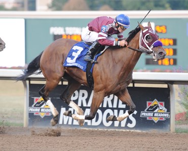 Tracy Racy - Horse Profile - BloodHorse