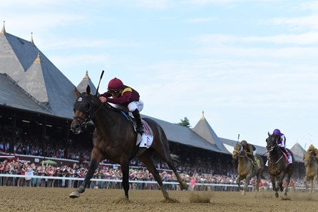 Catholic Boy - Horse Profile - BloodHorse