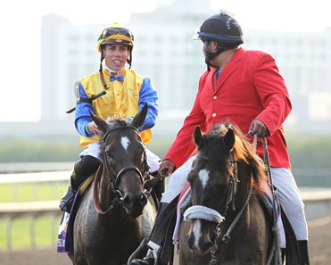 Robert Bruce (CHI) - Horse Profile - BloodHorse